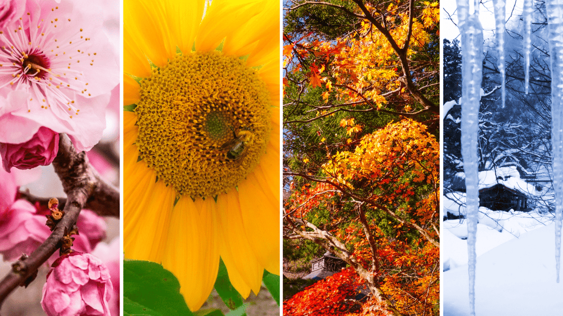 5 Ways Seasonal Changes Can Stress Out Your Body (and What to Do About ...