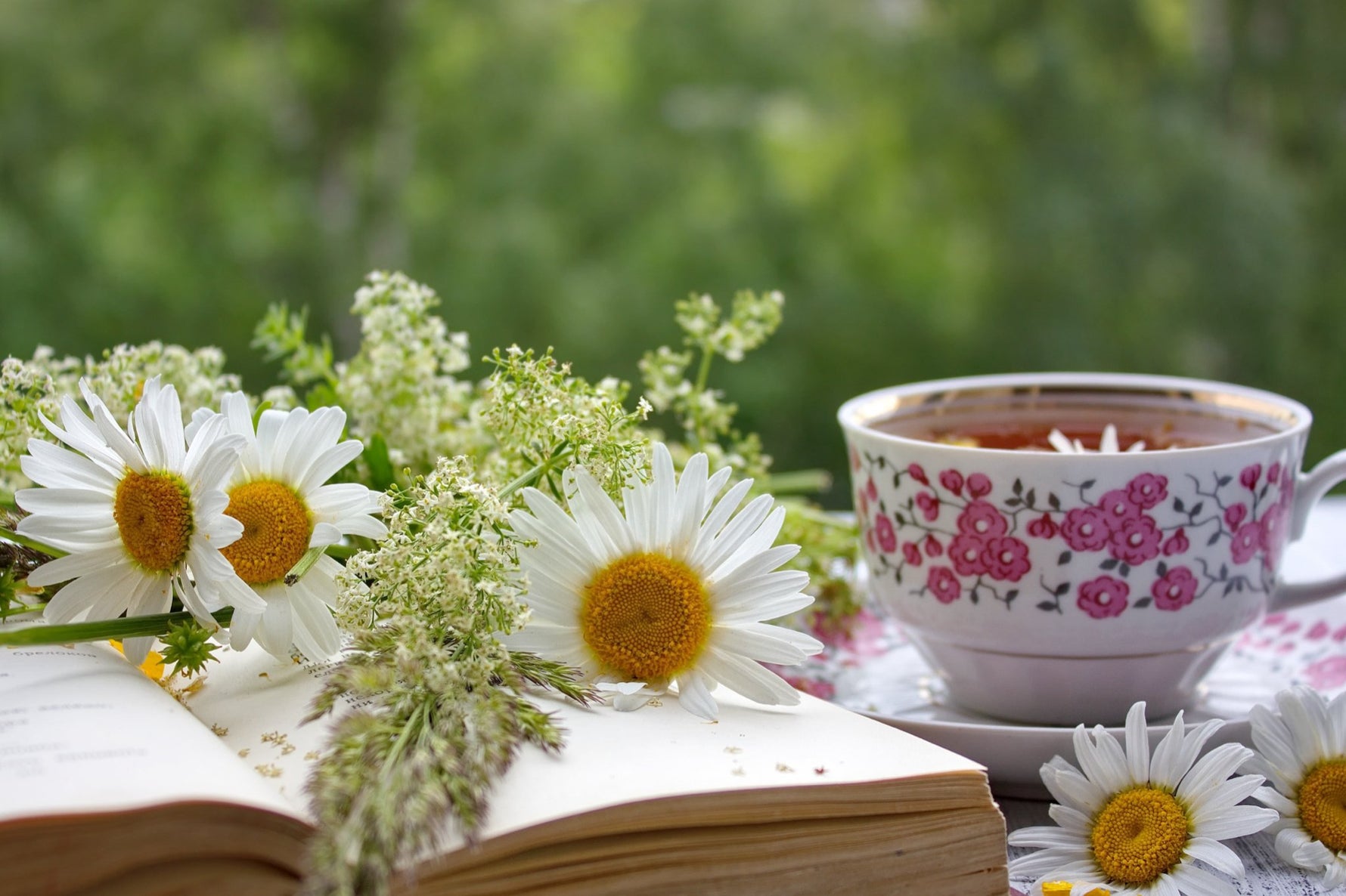 Love To Read? Here Are 5 Exciting Book and Tea Combos for Your Next Re ...