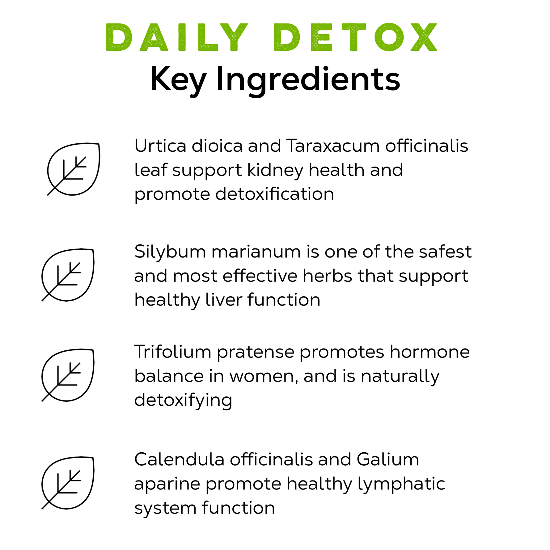 Cleanse & Detox Tea Bundle - Caffeine-Free – Loose Leaf Tea Market